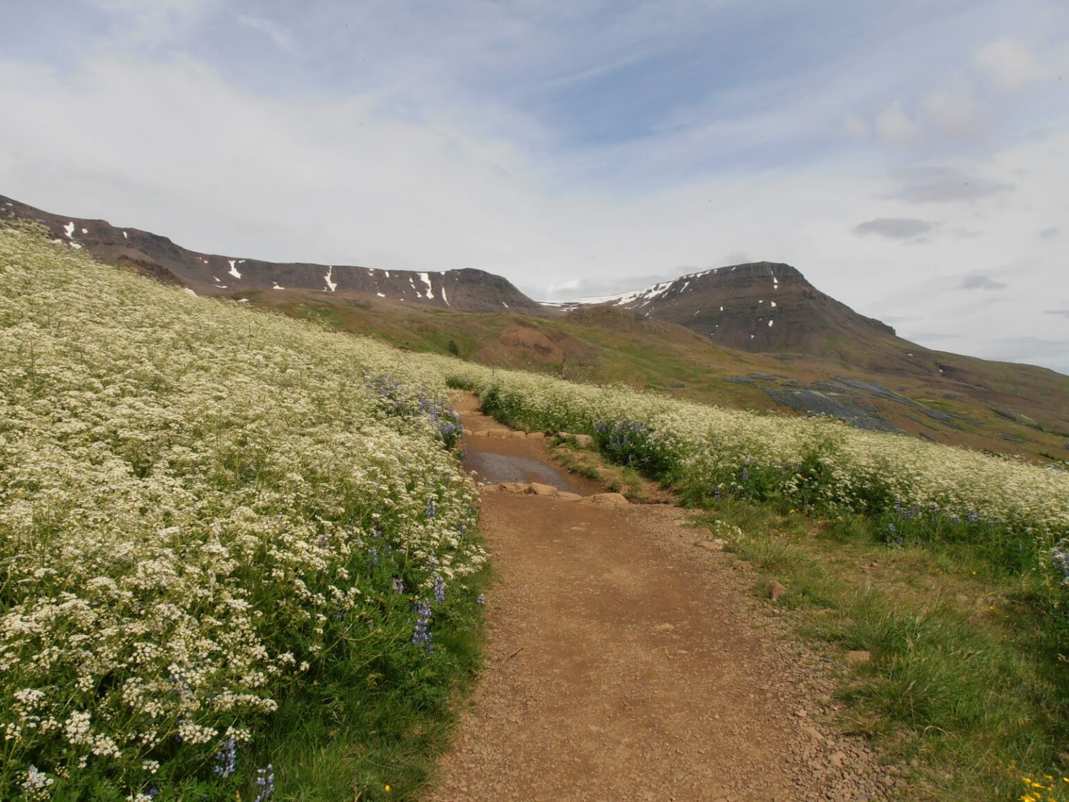 Mount Esja Trail – Hiking Iceland | Nail the Trail