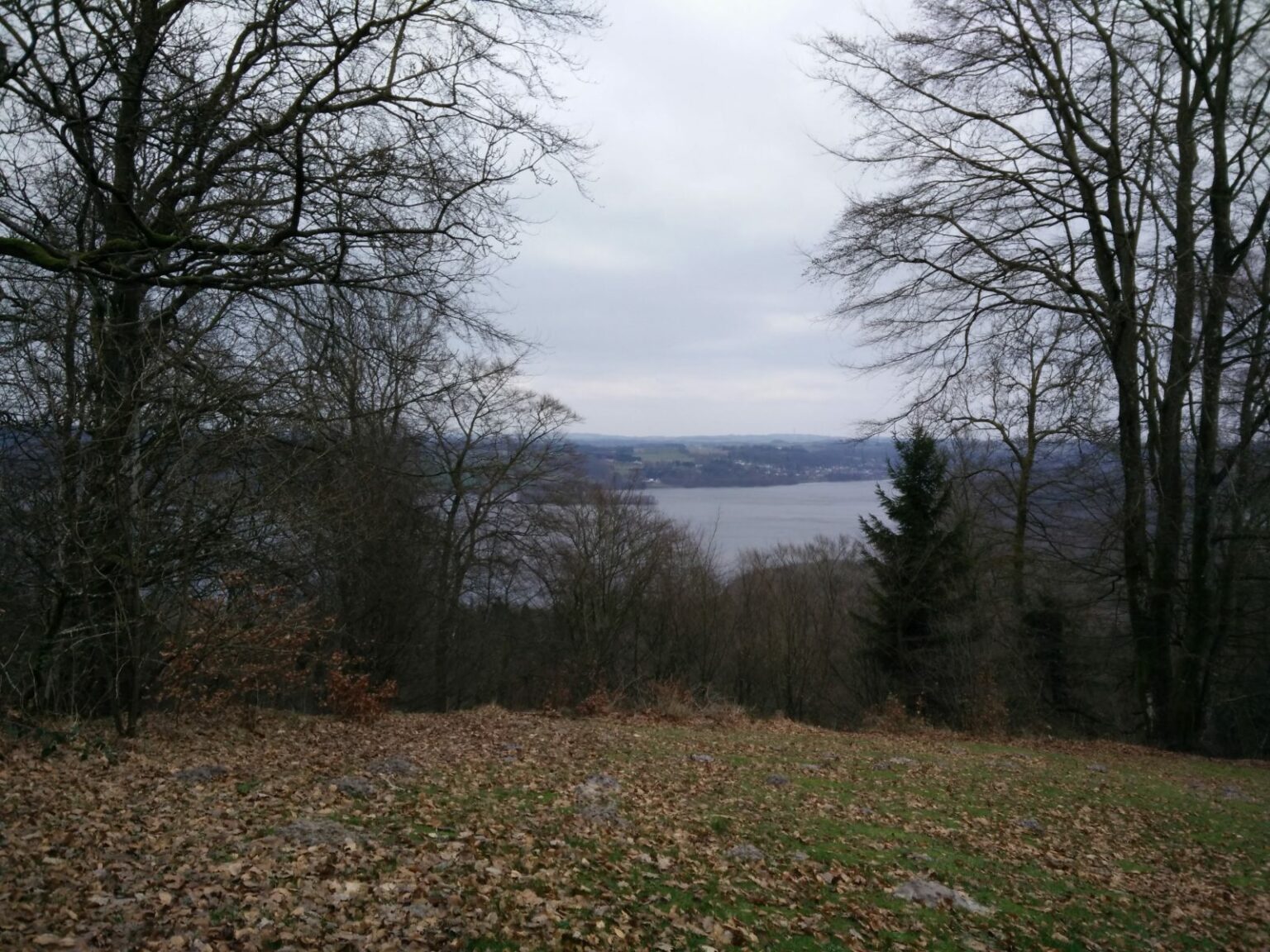 Himmelbjerget Trail – Hiking Denmark | Nail the Trail