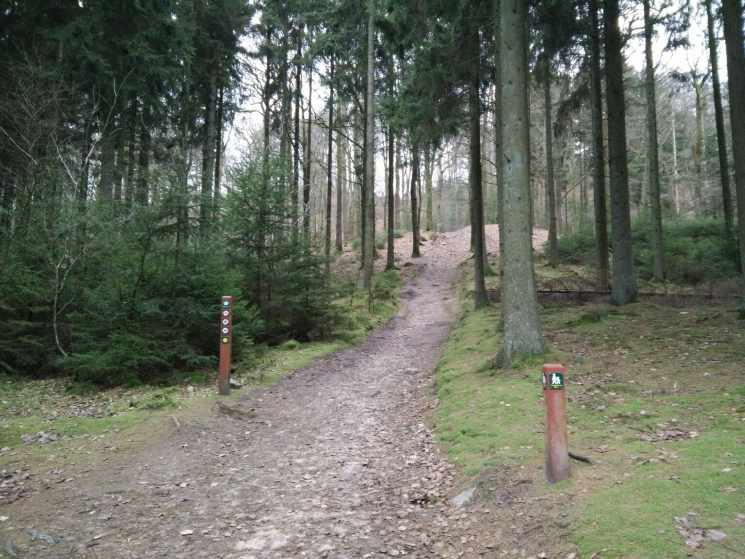 Himmelbjerget Trail – Hiking Denmark | Nail the Trail