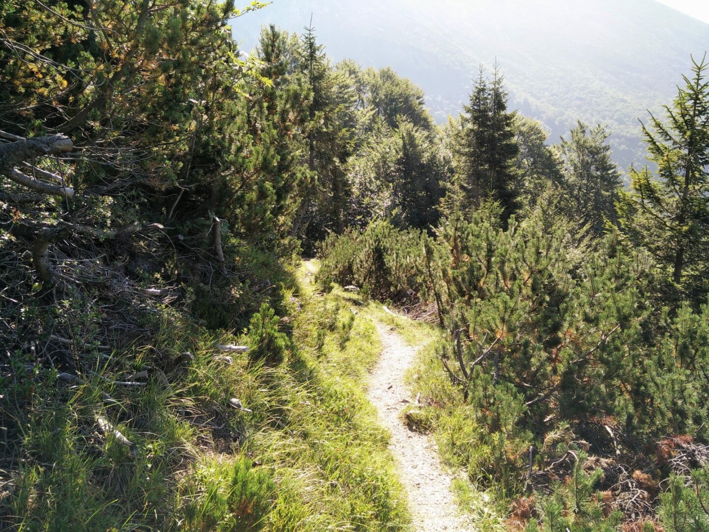 Vogel Trail – Hiking the Alps | Nail the Trail