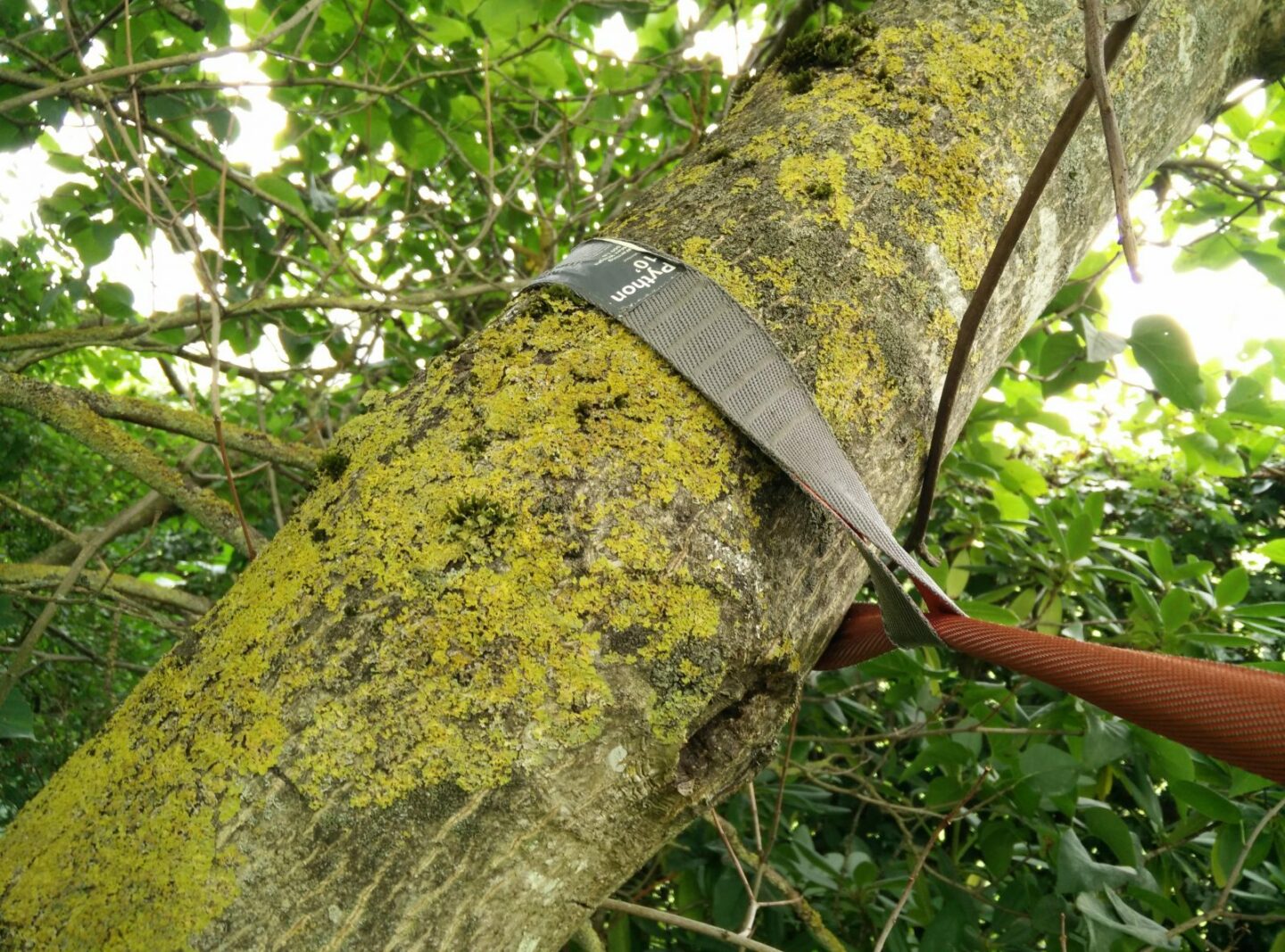 Kammok Mantis Hammock Tent Review | Nail the Trail