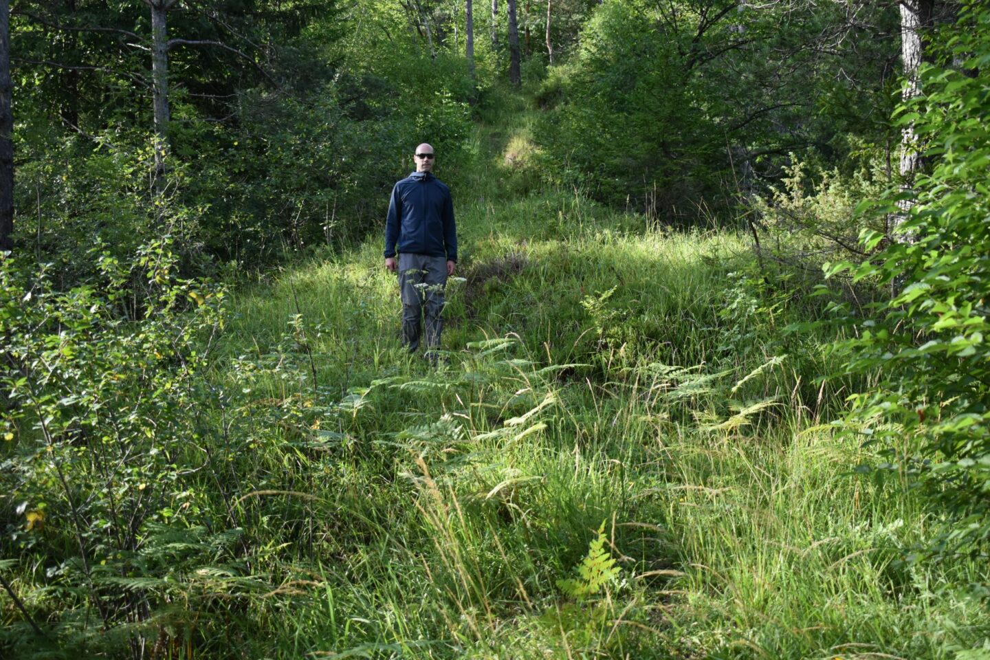 Houdini Daybreak Softshell Jacket Review | Nail the Trail