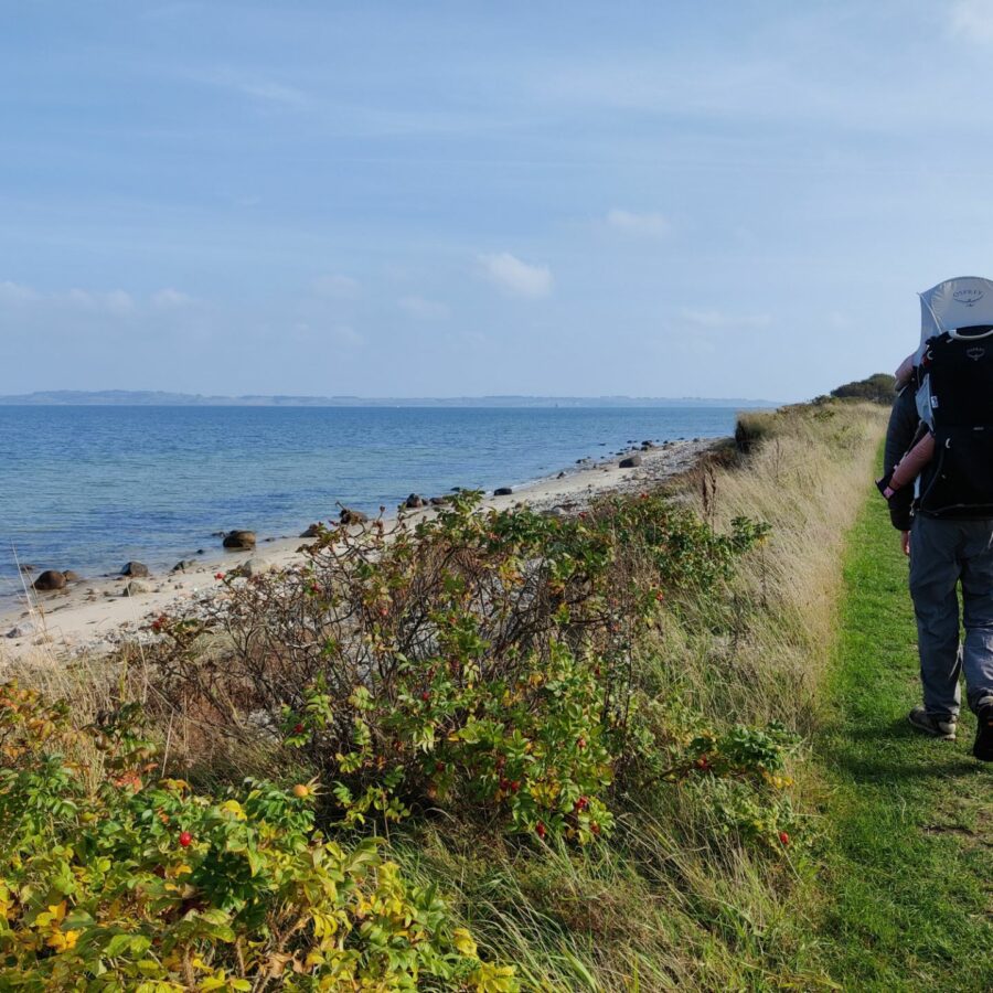 Himmelbjerget Trail – Hiking Denmark | Nail the Trail