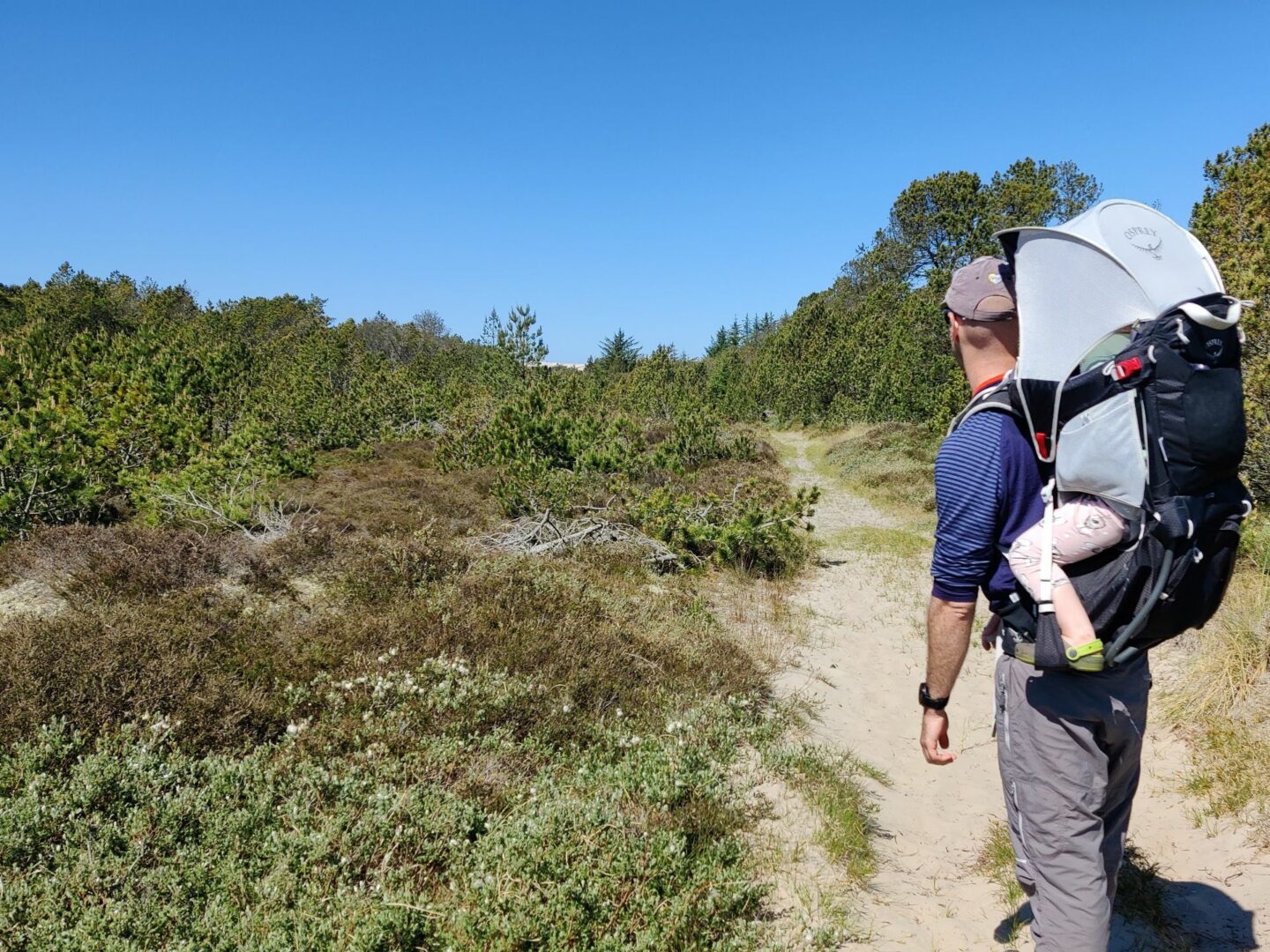 Råbjerg Mile Hiking Trail - Hiking Denmark | Nail the Trail