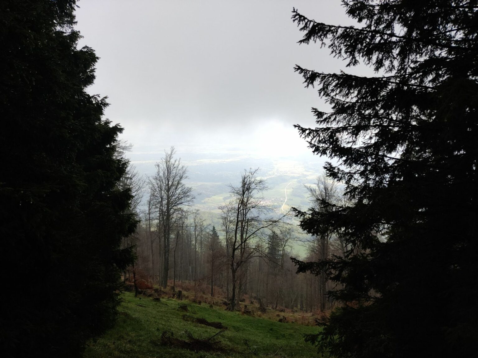 Hiking Tolsti Vrh and Kriska Gora in Slovenia | Nail the Trail