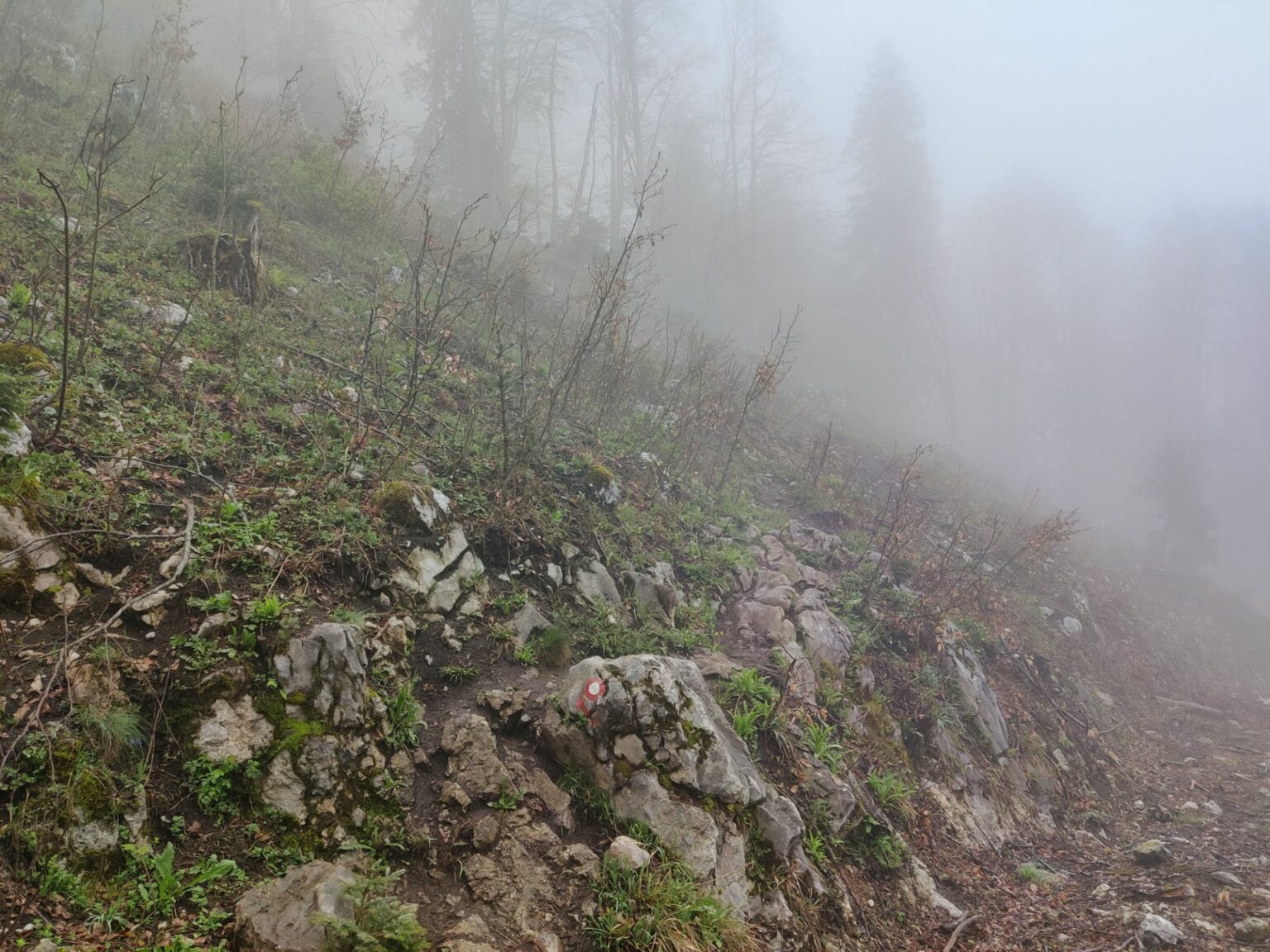 Hiking Tolsti Vrh and Kriska Gora in Slovenia | Nail the Trail