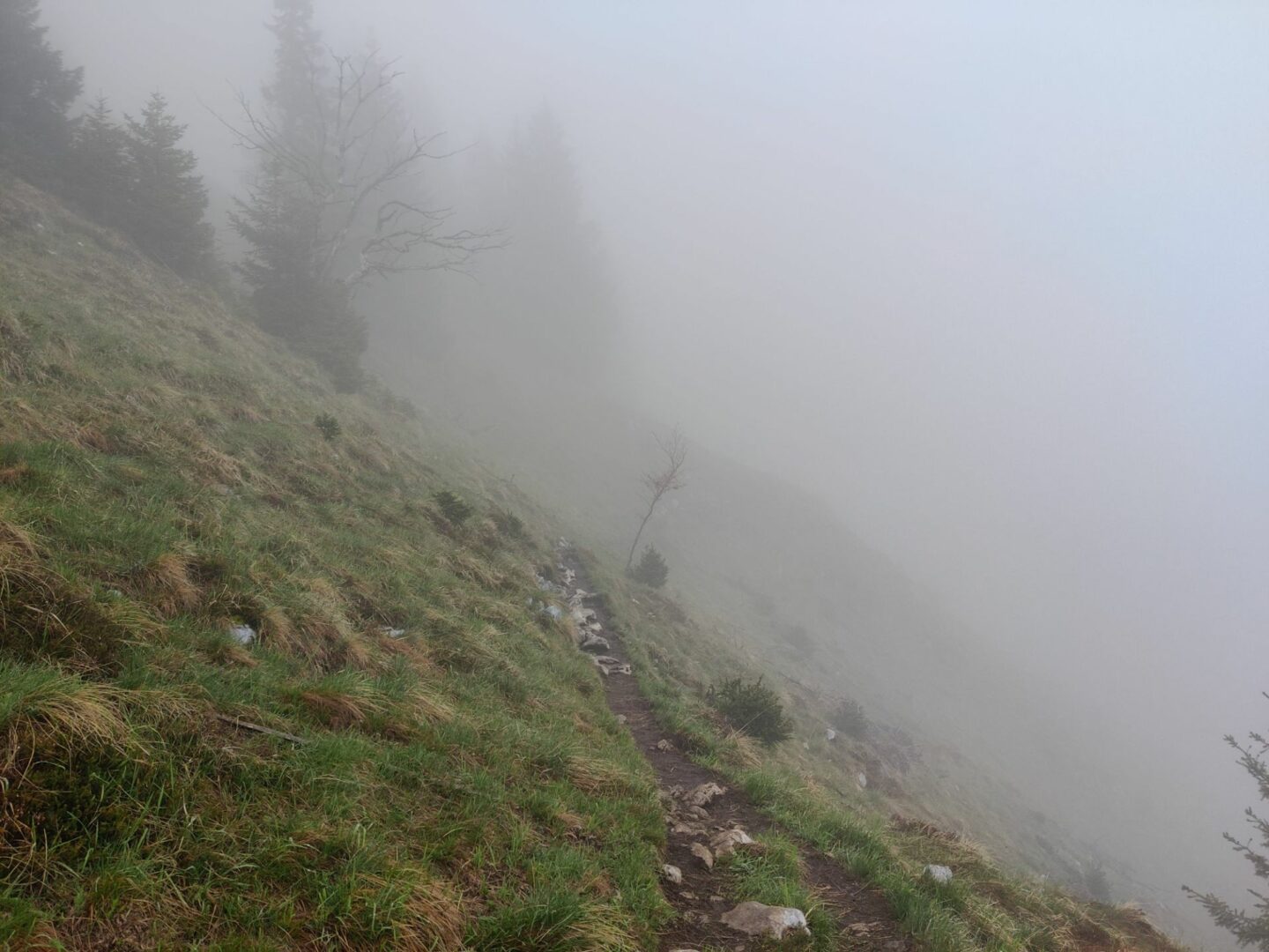 Hiking Tolsti Vrh and Kriska Gora in Slovenia | Nail the Trail