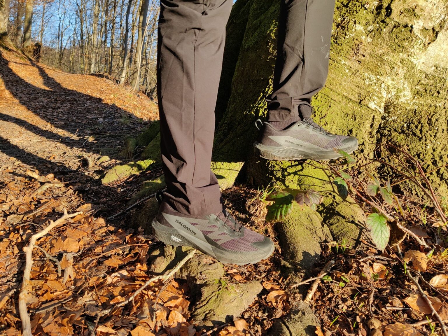 Salomon Sense Ride 5 GTX - Short Review | Nail the Trail